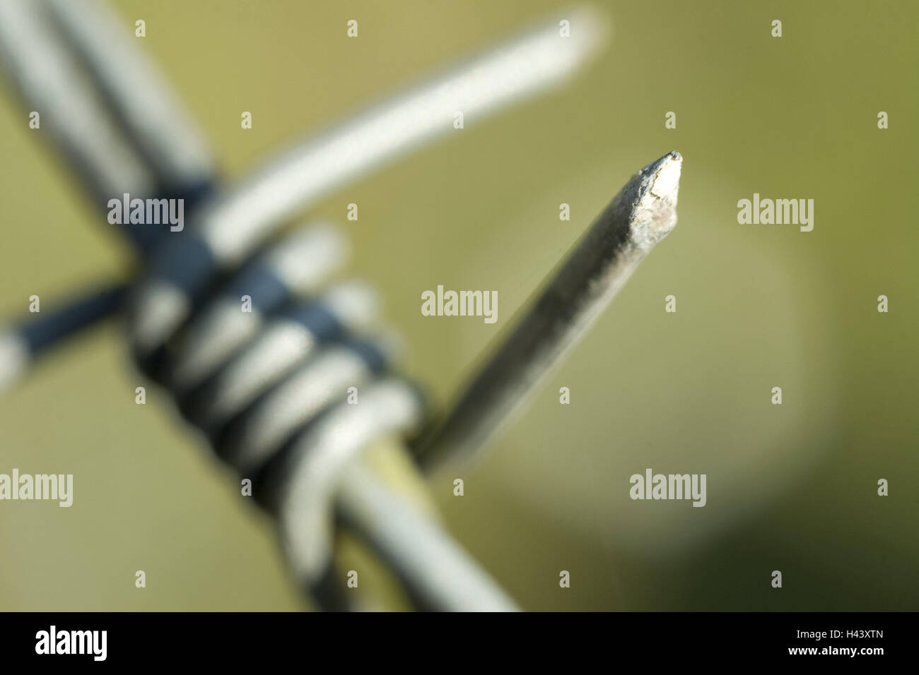 Barbed wire, close up, fence, barbed wire fence, demarcation ...
