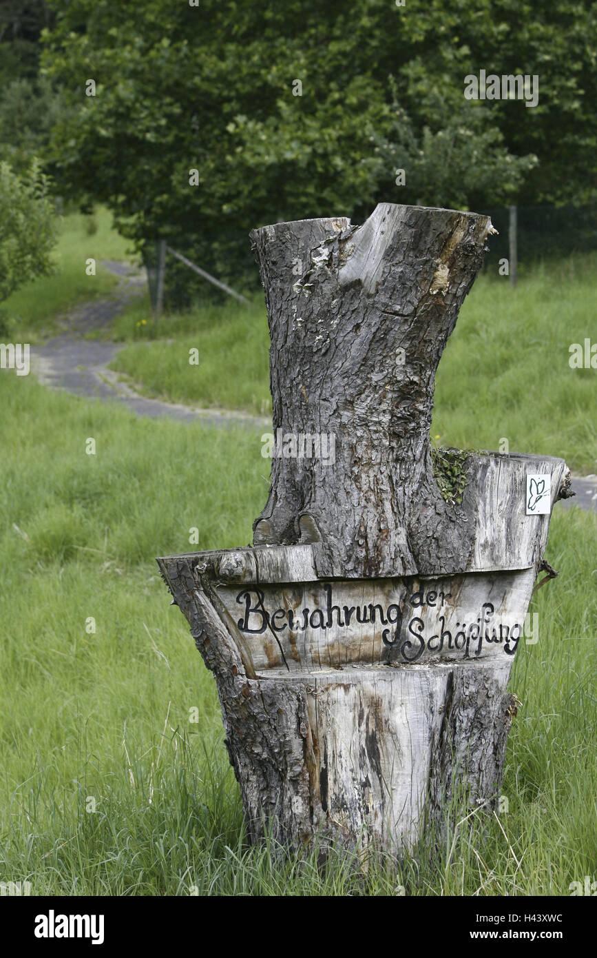 Edge the forest, meadow, tree stump, stroke, preservation the creation ...