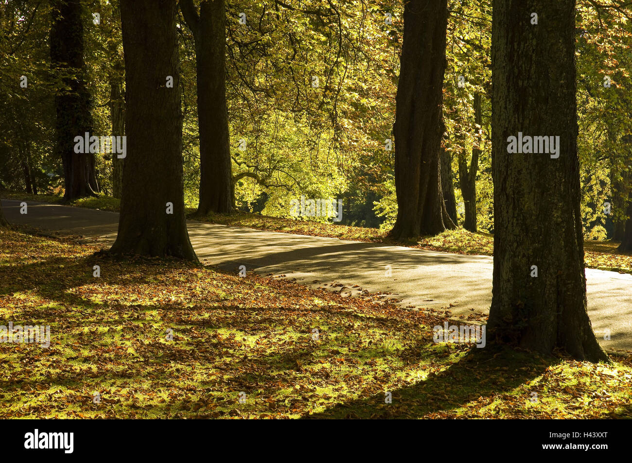 Nature, Park, 'Villa Hügel', Essen, North Rhine-Westphalia, Germany ...
