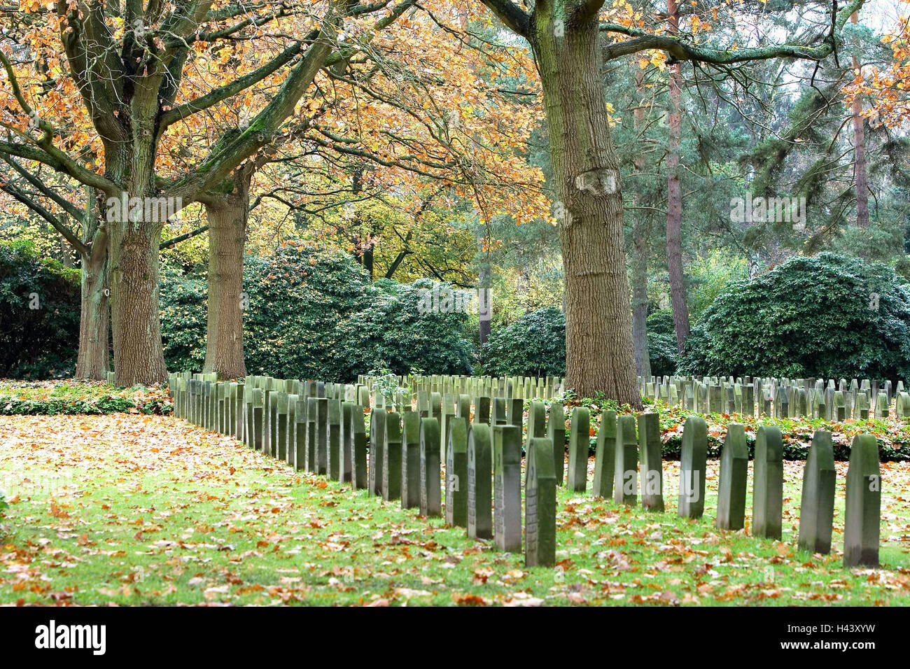 Sol data graveyard, gravestones, cemetery, graveyard, war, tombs, tombs ...