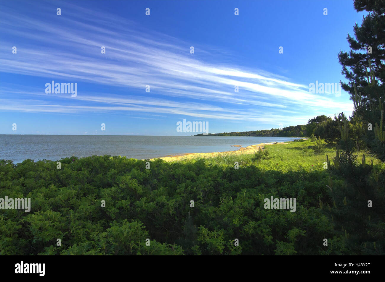 The Baltic Sea, bay, Juodkrante, national park health resort broad bay ...