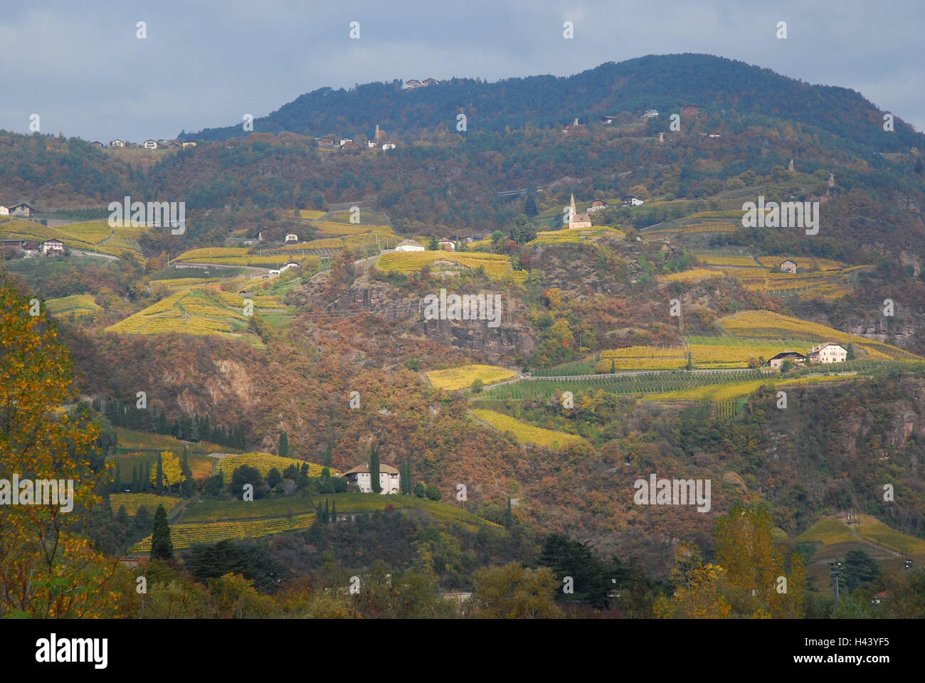 Italy, South Tyrol, Eisacktal, autumn, Northern Italy, valley ...