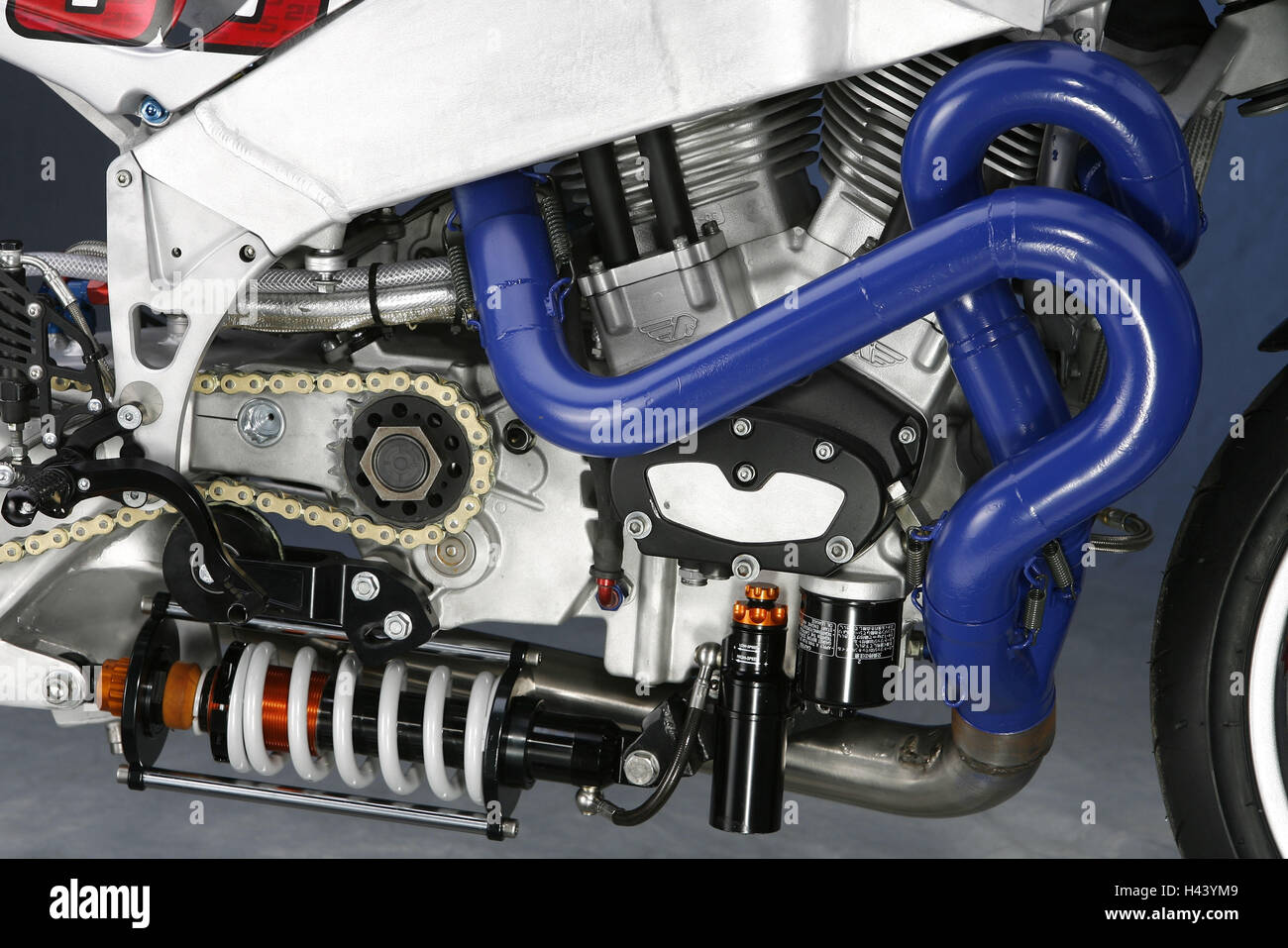 Harley Davidson, special rebuilding, detail, engine Stock Photo - Alamy