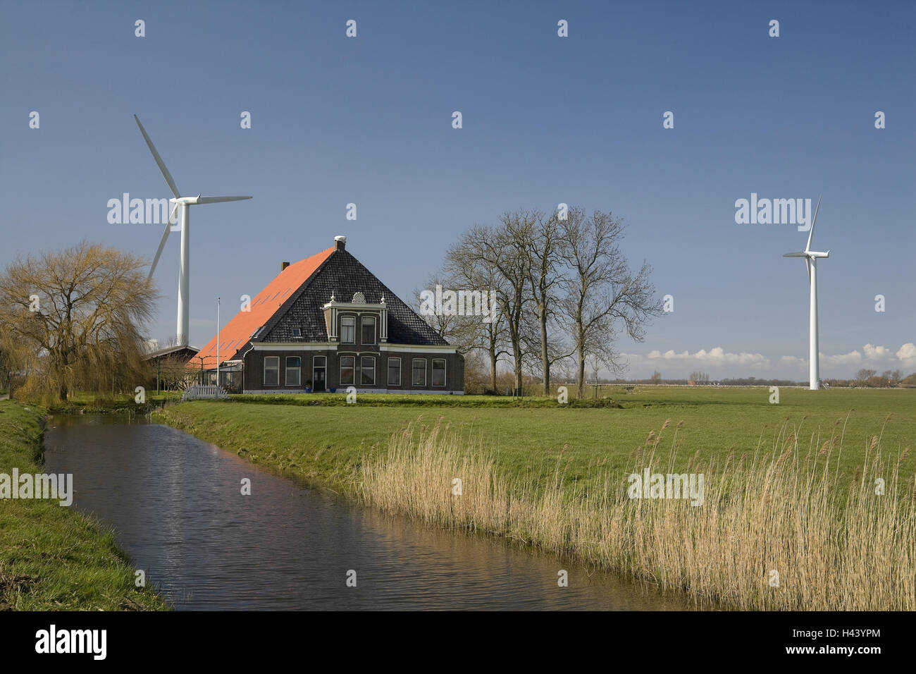 The Netherlands, Friesland, farm, wind turbines, channel Stock Photo ...