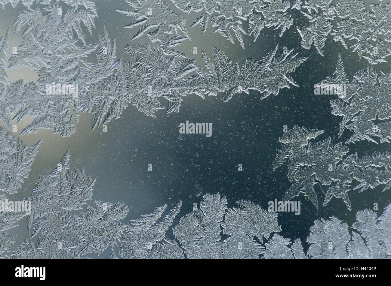 Windows, frost flowers, detail, glass, windowpane, window pane, ice ...