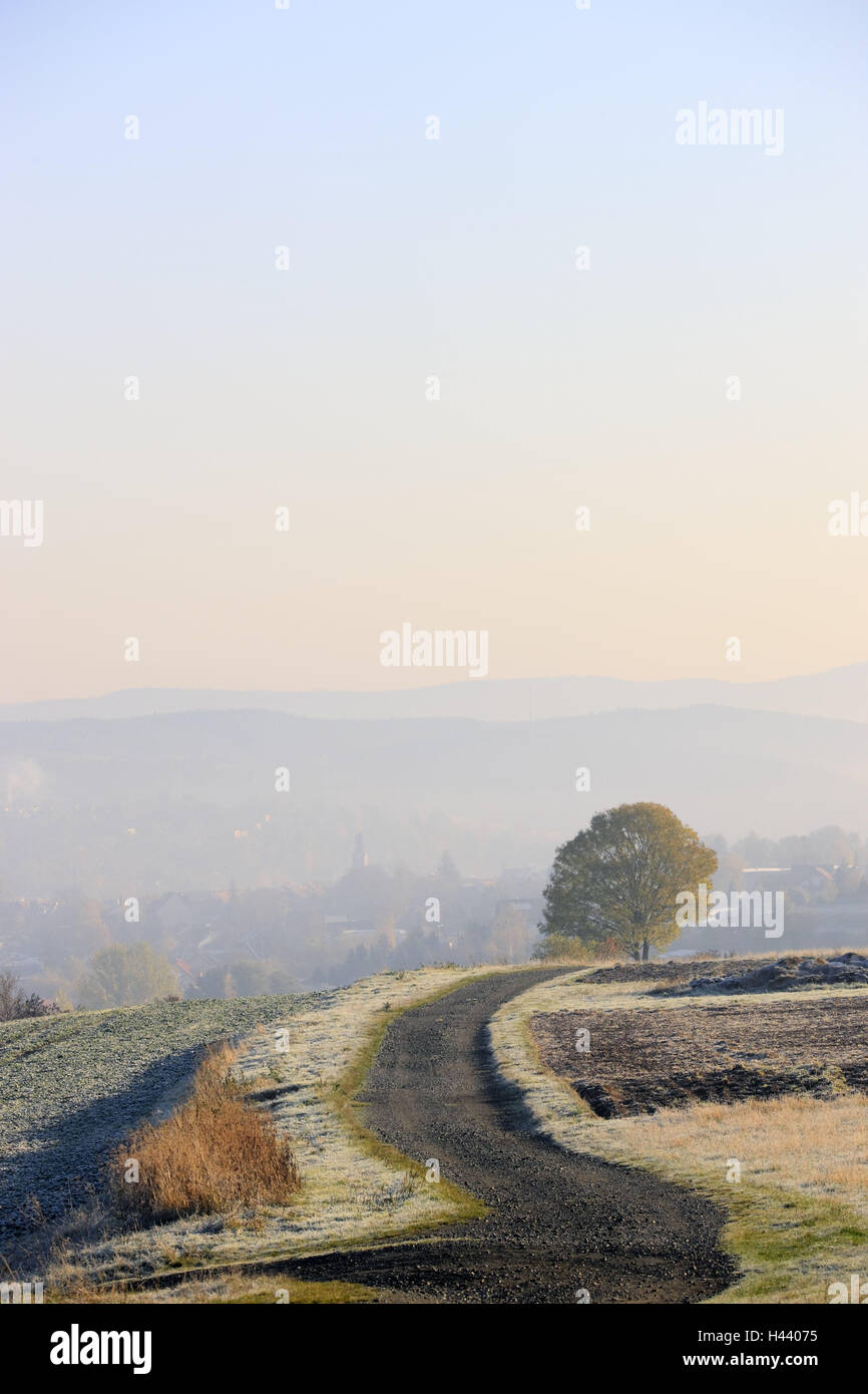 Germany, Thuringia, Königsee, country lane, tree, view, fog Stock Photo ...