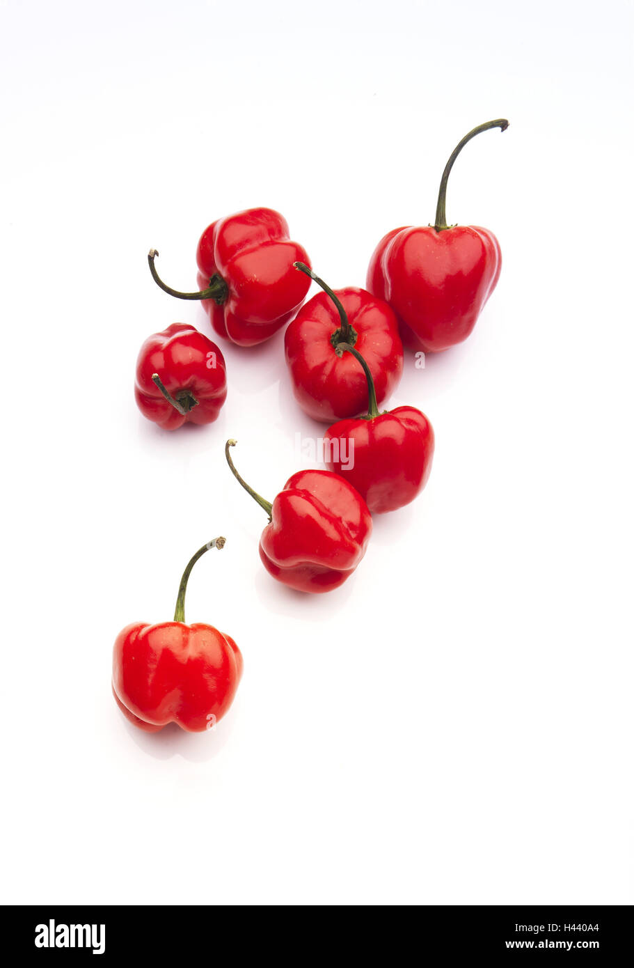 Of chilli, Habanero, pods, many, chilli, Capsicum, chilli pods, spice ...