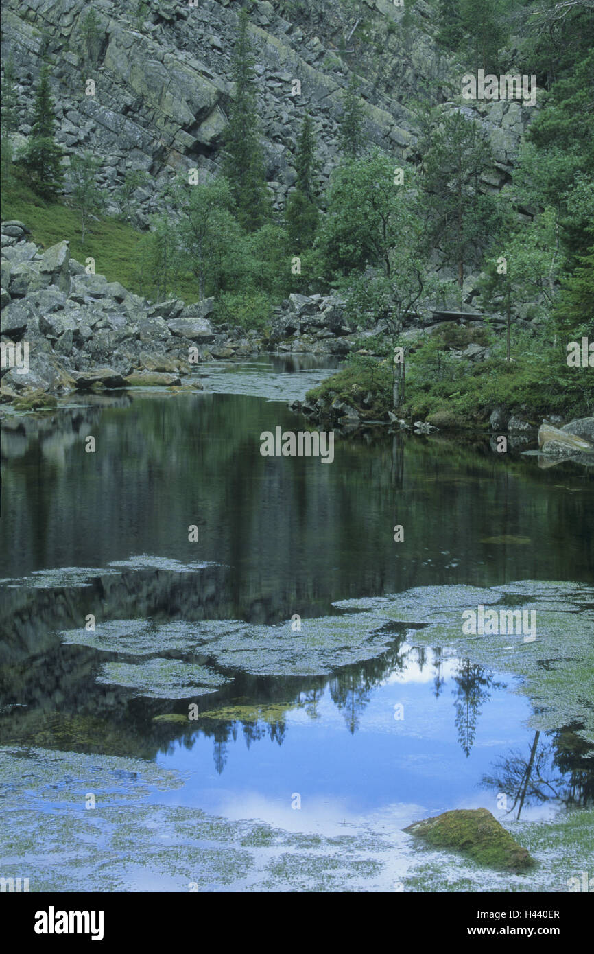 Pyhatunturi national park hi-res stock photography and images - Alamy