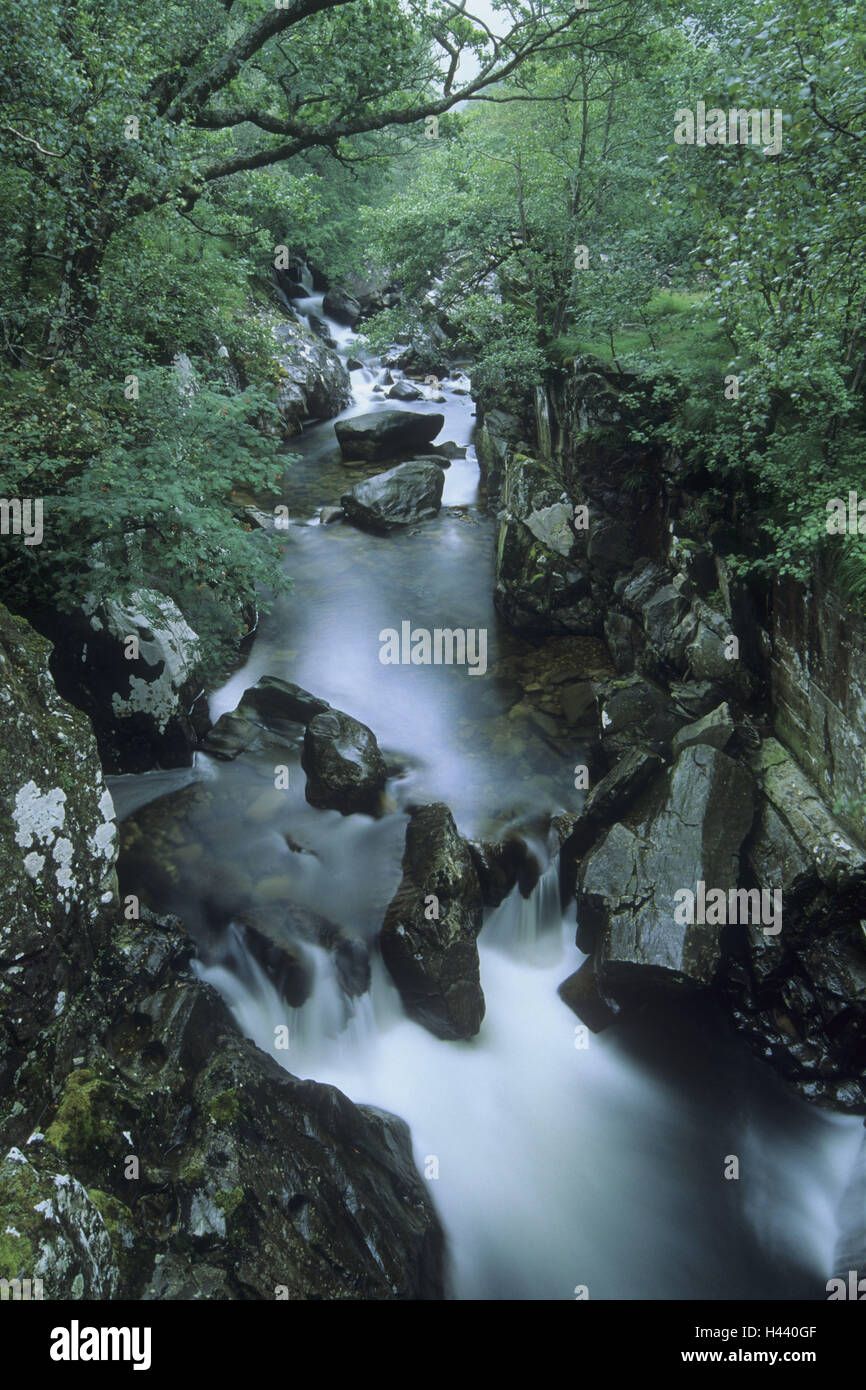 Great Britain, Scotland, fort William, Glen Nevis, river, gulch, flow ...