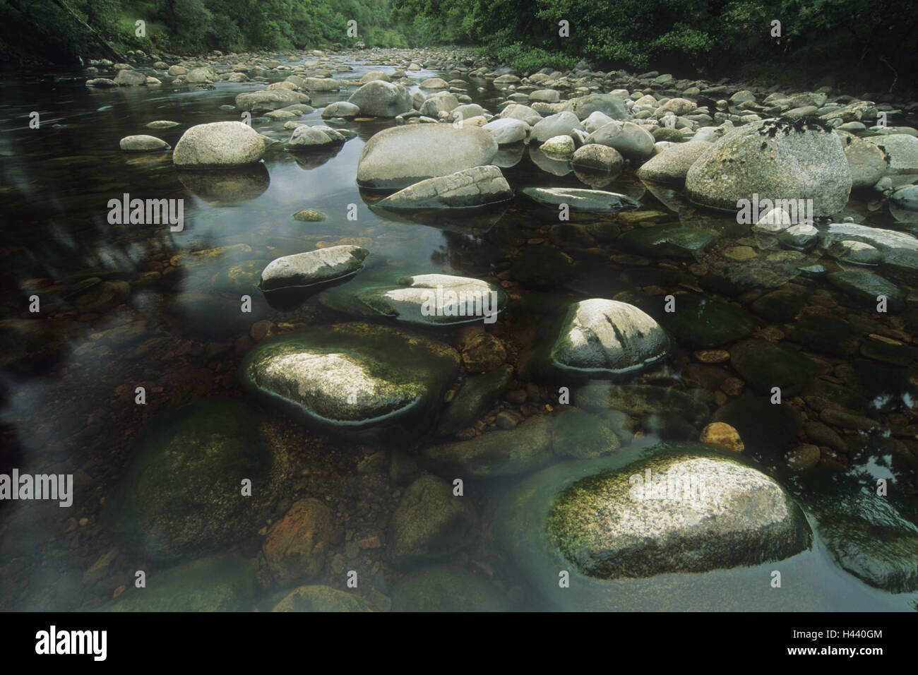 river, stones, nature, summer Stock Photo - Alamy