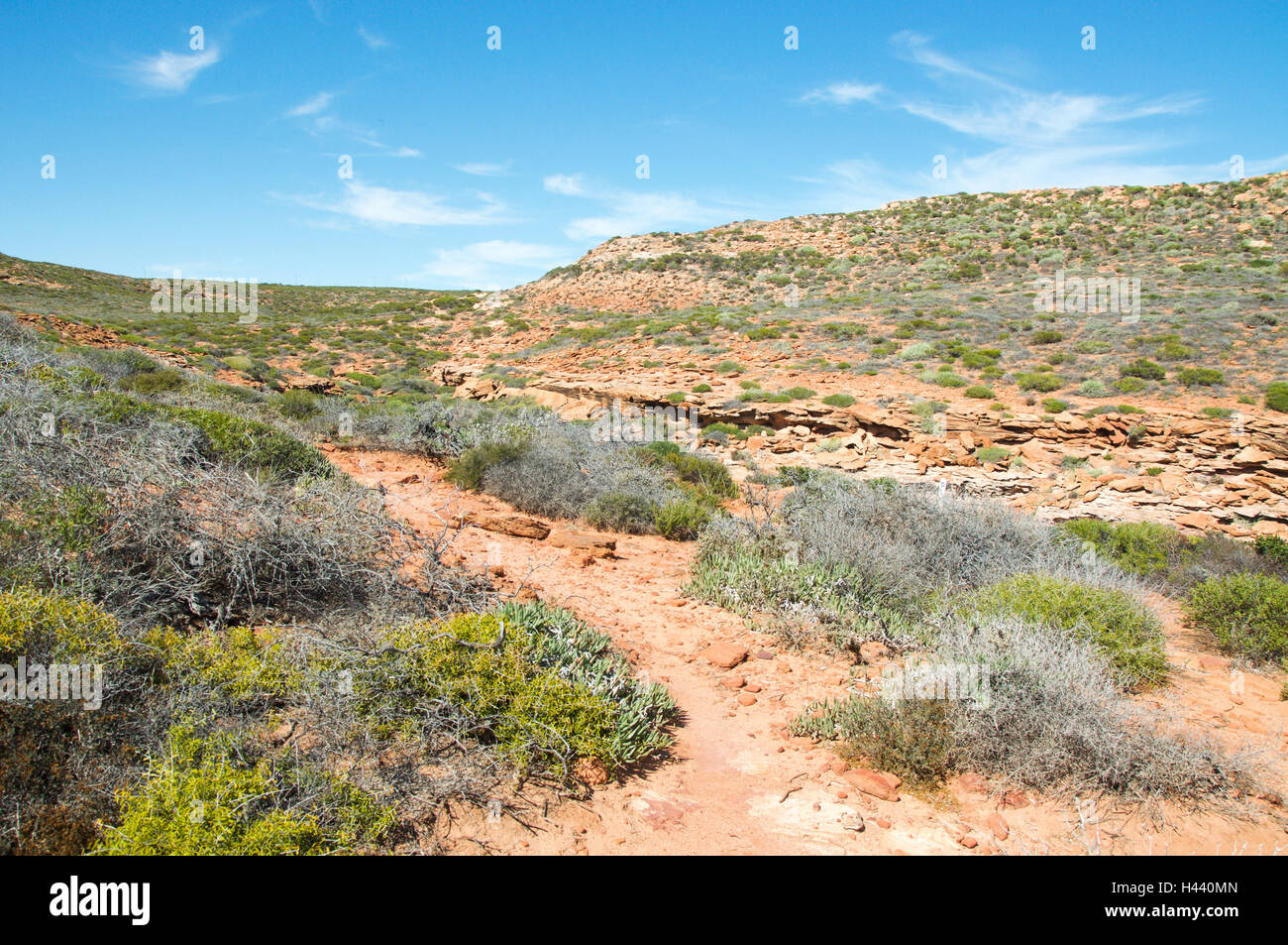 Path in native coastal bushland at Mushroom Rock with sandstone and ...