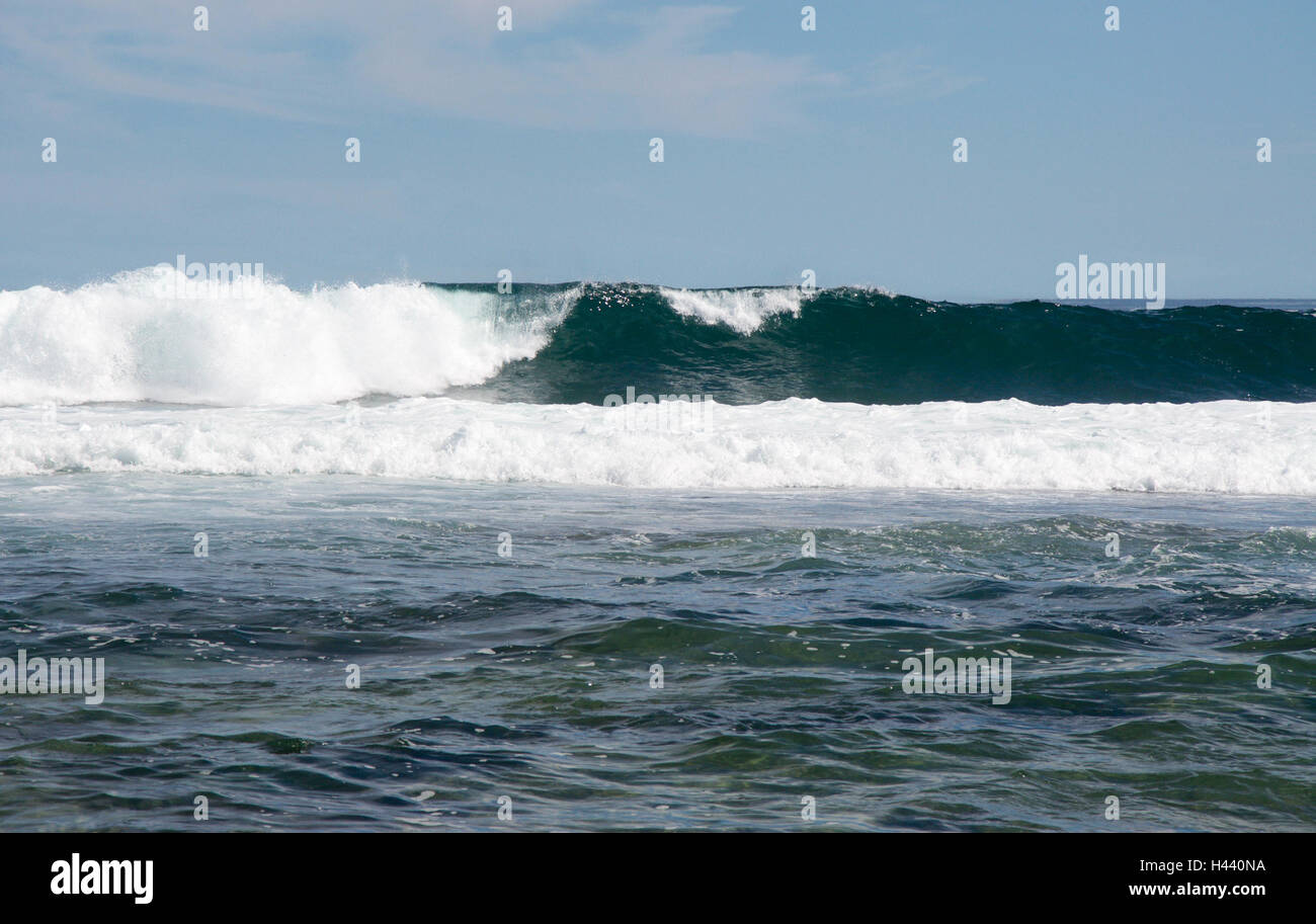 Large Indian Ocean swell forming at Blue Holes Beach on the coral coast ...
