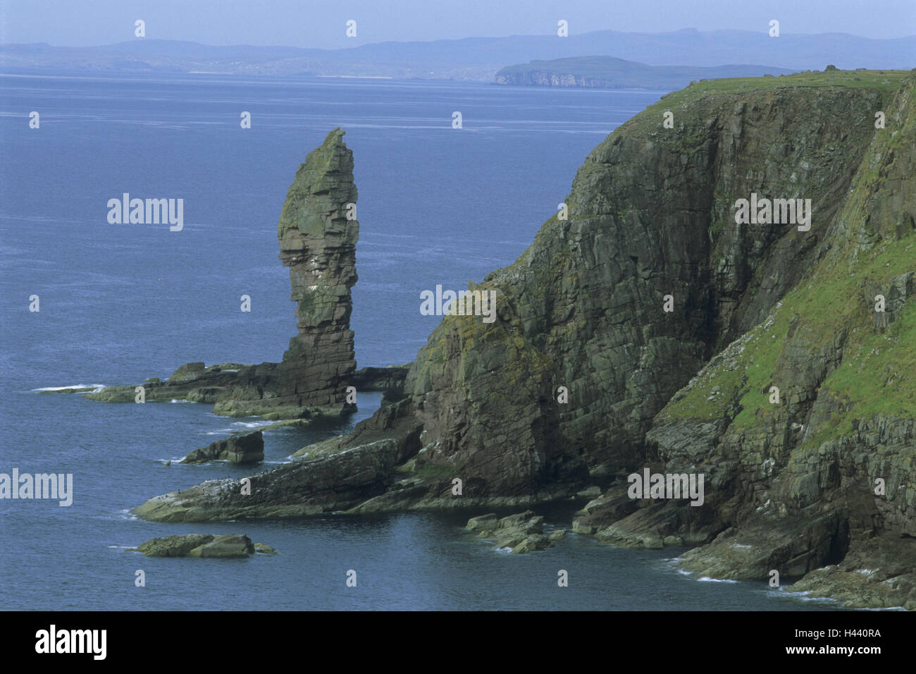 Old one of sturgeon hi-res stock photography and images - Alamy