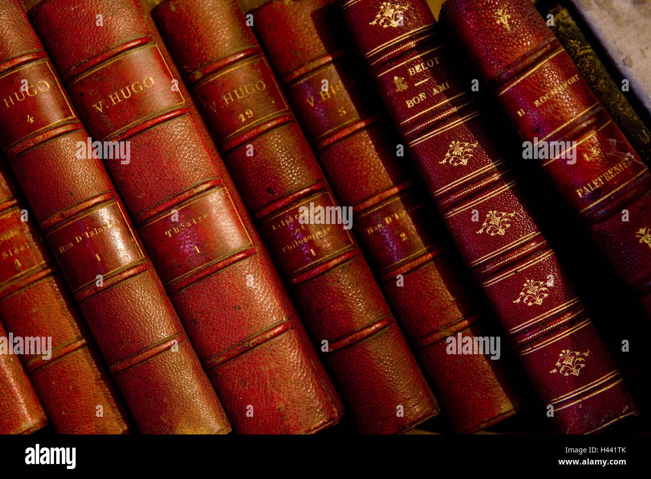 Books, old, antique, spines, leather binding, close up Stock Photo - Alamy
