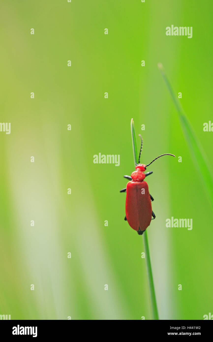 Point pointed hi-res stock photography and images - Alamy