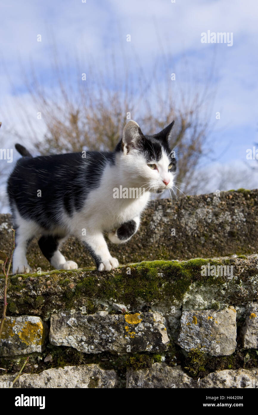 More house poorly hi-res stock photography and images - Alamy