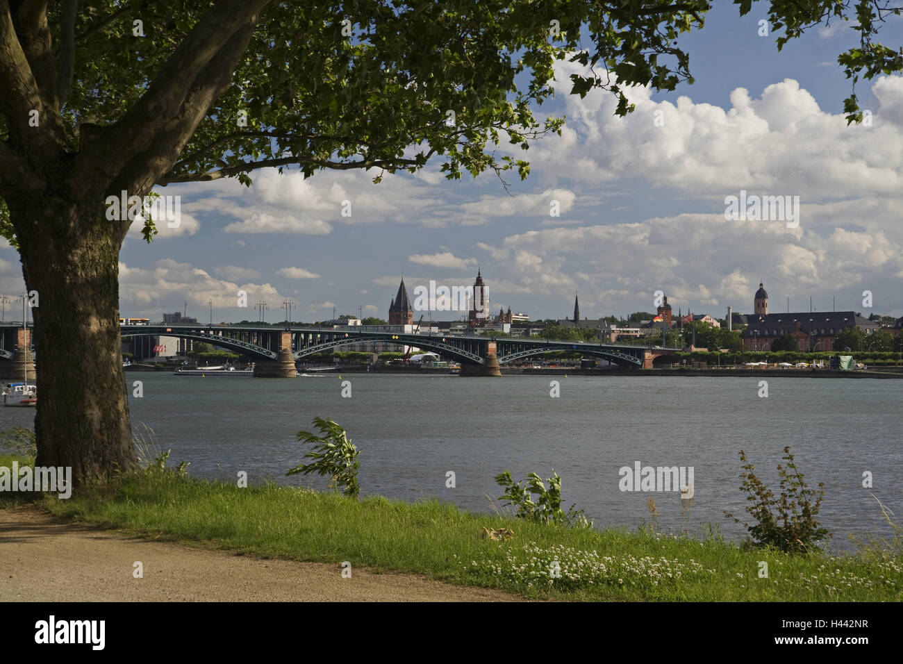 Germany, Rhineland-Palatinate, Mainz, town view, bridge, river Rhine ...