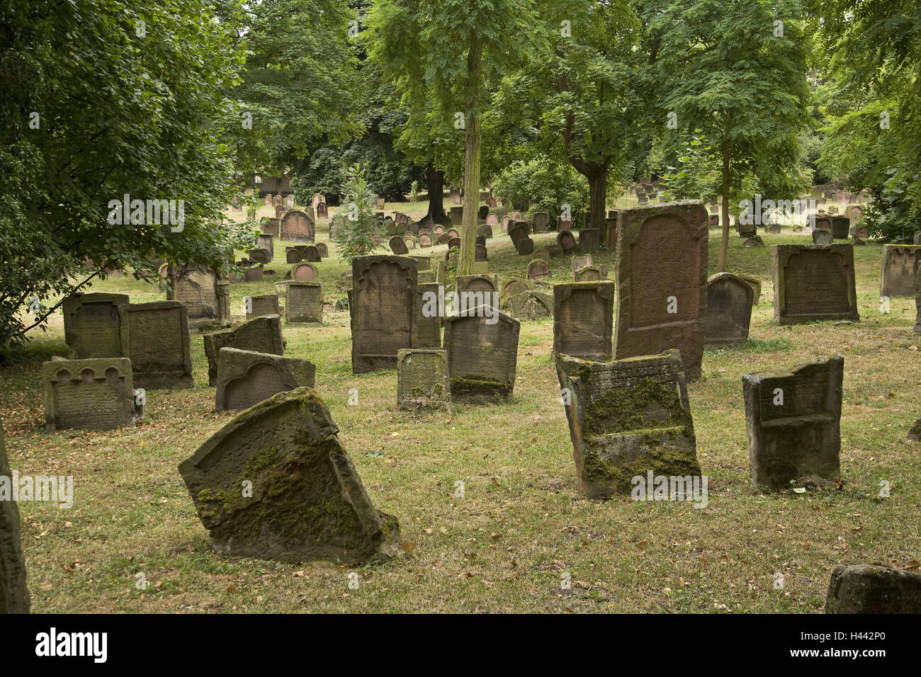 Germany, Rhineland-Palatinate, Worms, Jew's cemetery, saint Sand, town ...