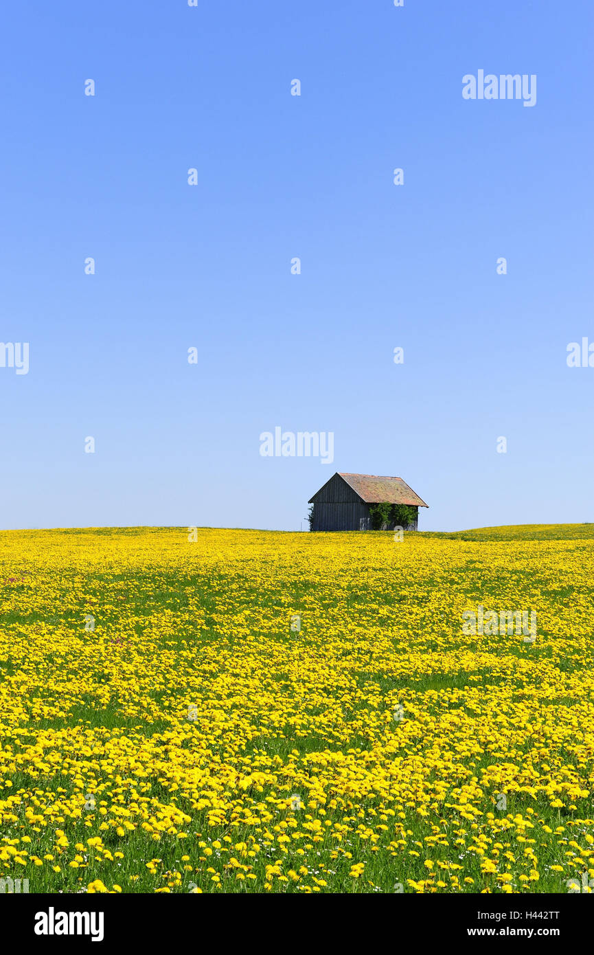 Spring barn hi-res stock photography and images - Alamy