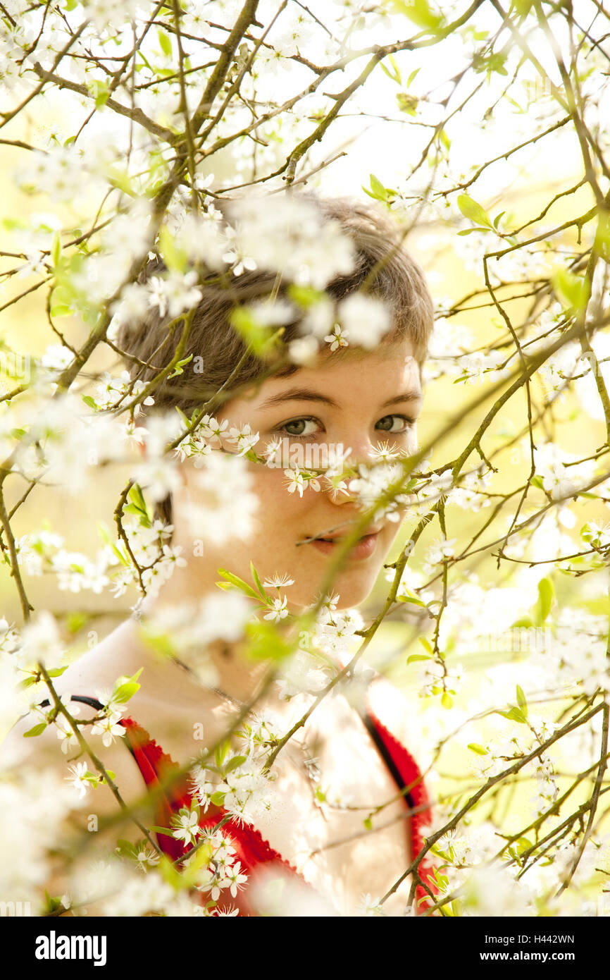 Teenagers, girls, branches, blooms, portrait, model released, sideward ...