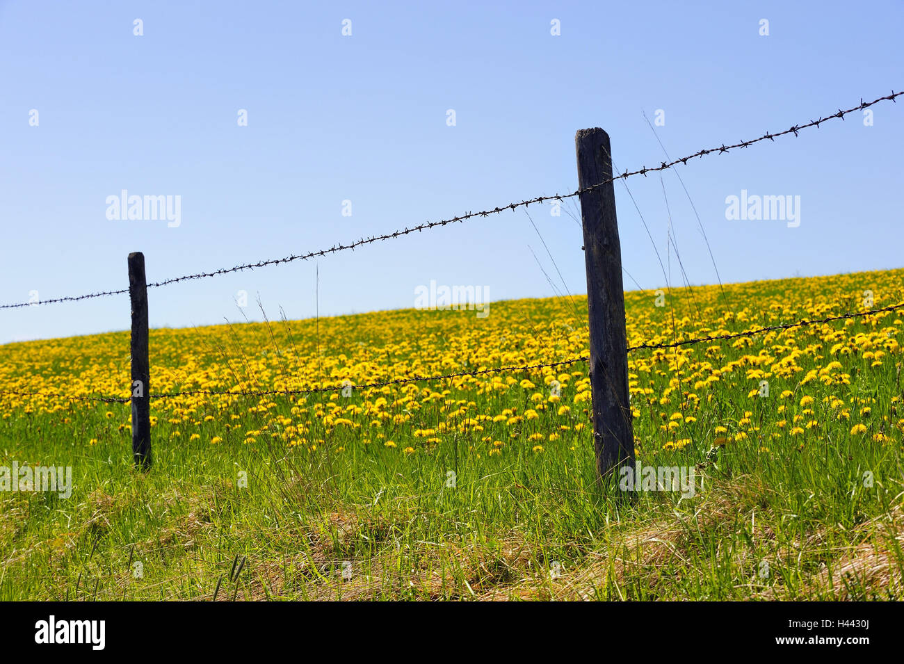 Demarcation fence hi-res stock photography and images - Alamy