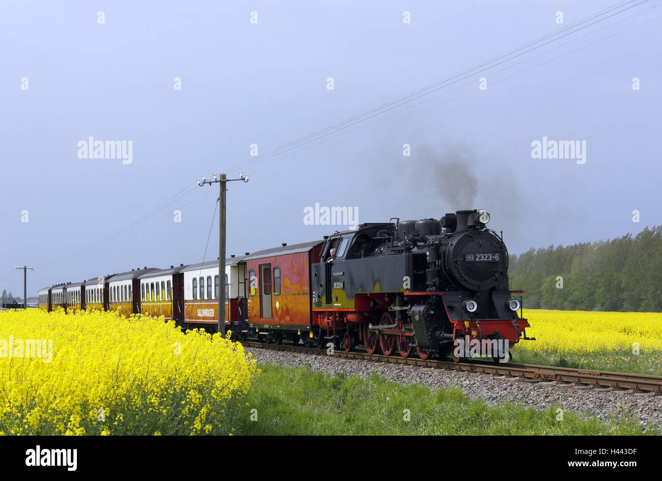 Rice train, bath Doberan-Baltic bath Cooling spring, Steam locomotive ...