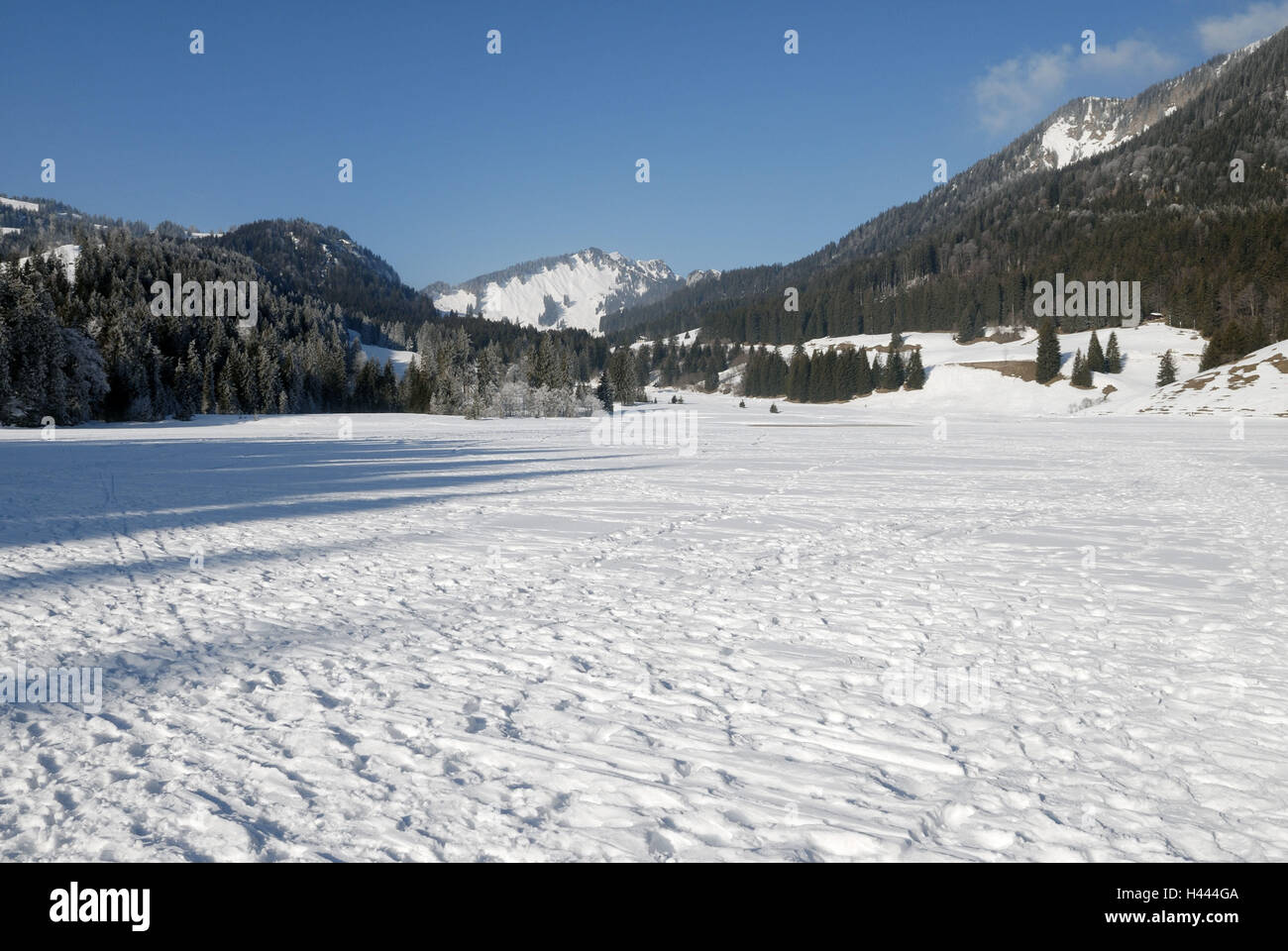 Snow surface, trees, mountains, heavens, clouds, white, Germany ...