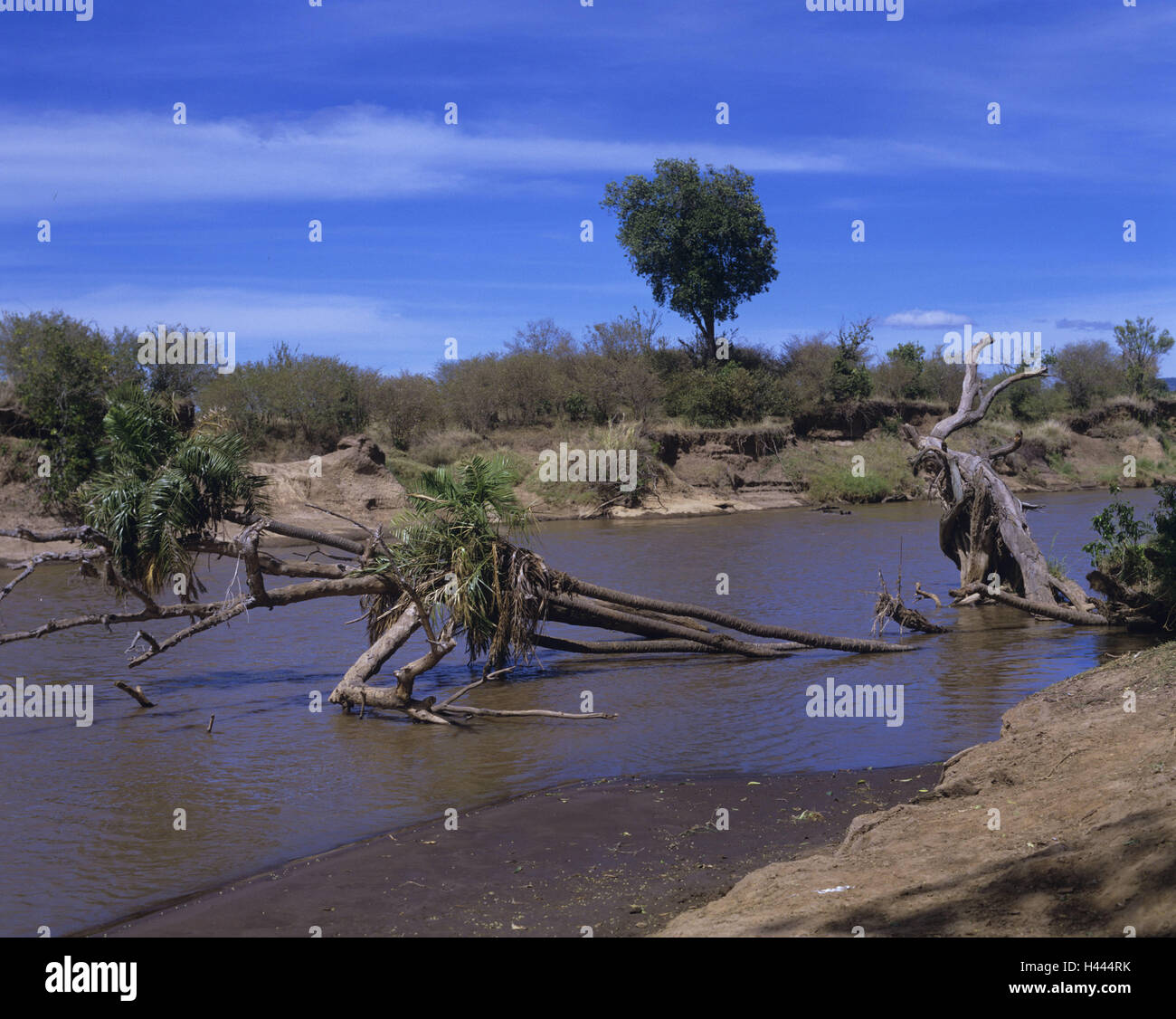 Kenya, Mara River, Africa, scenery, vegetation, river, waters, nature ...