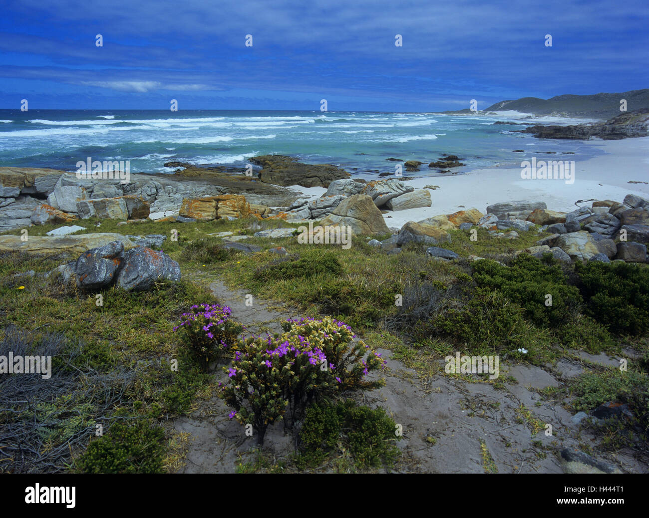 South, Africa, cape good hope, beach, surf, Africa, coastal scenery ...