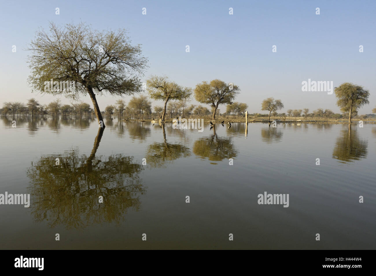 Scenery, water, flood Stock Photo - Alamy