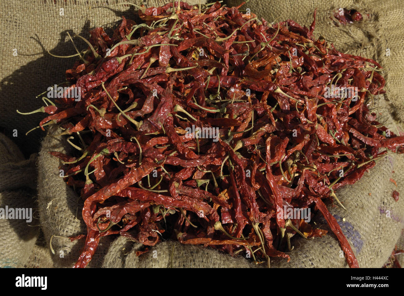 Chilli pods, dryly Stock Photo - Alamy