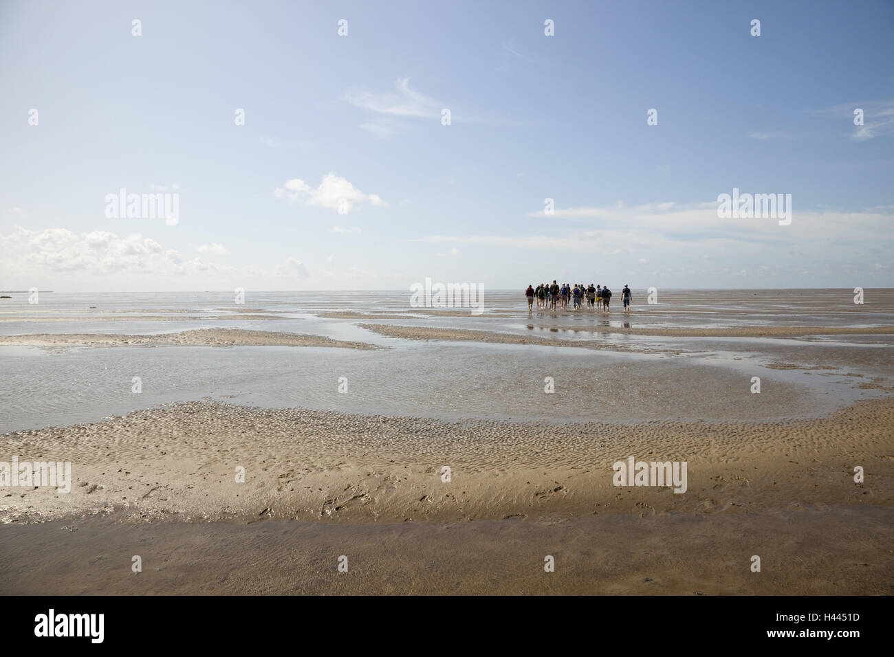 Mudflat hiking tour Stock Photo - Alamy