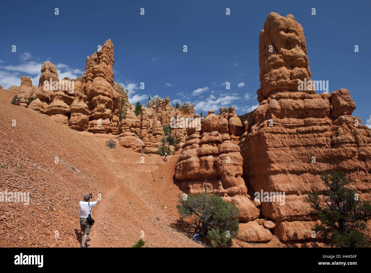 The USA, Utah, Colorado plateau, Bryce Canyon, tourist Stock Photo - Alamy