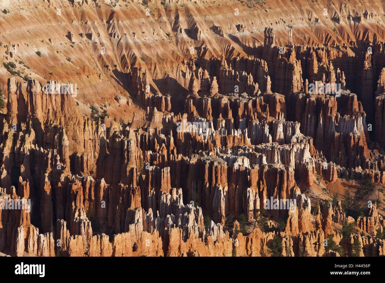 The USA, Utah, Colorado plateau, Bryce Canyon, amphitheatre Stock Photo ...