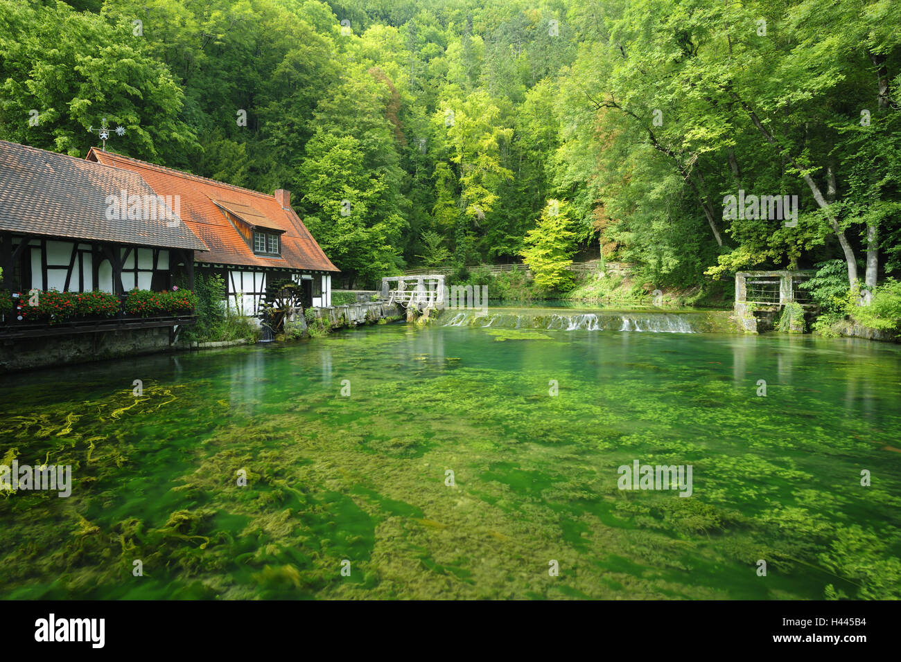 Germany, Baden-Wurttemberg, Swabian nightmare, Blaubeuren, blue pot ...