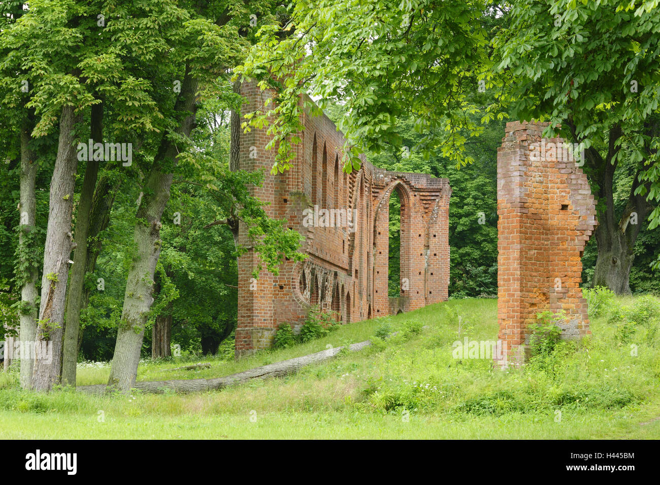 Germany, Brandenburg, Uckermark, monastery ruin Boitzenburg Stock Photo ...