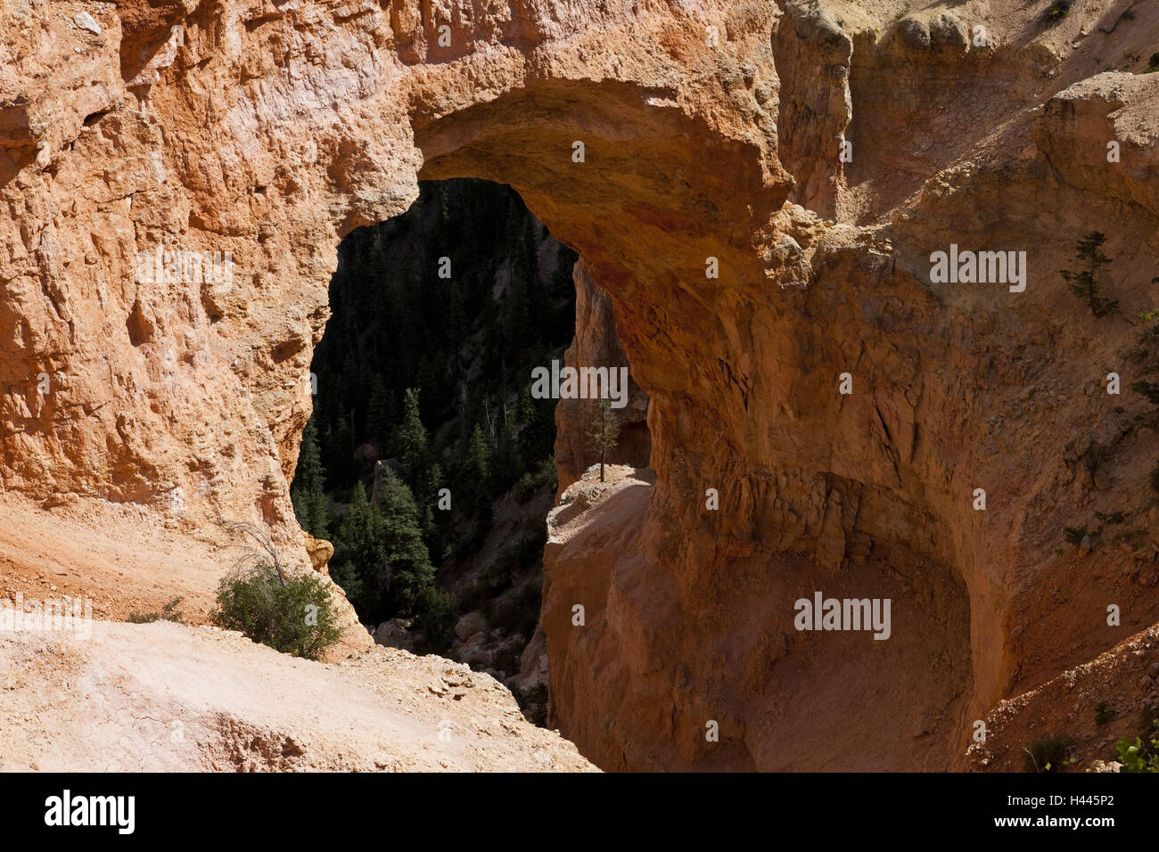 The USA, Utah, Colorado plateau, Bryce Canyon, bile bridge Stock Photo ...