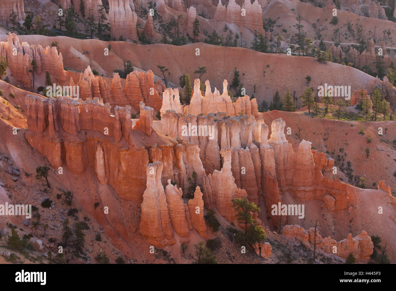 The USA, Utah, Colorado plateau, Bryce Canyon, bile formation Stock ...