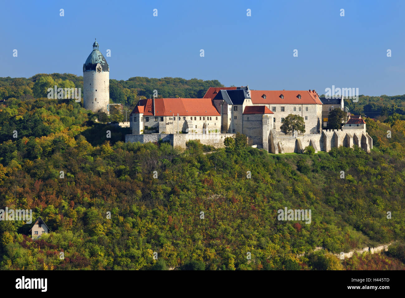 Frey hi-res stock photography and images - Alamy