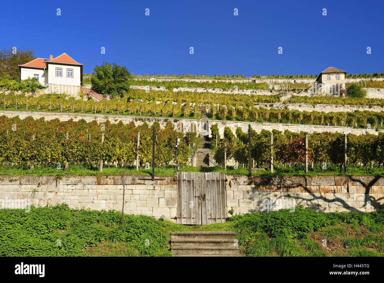 Unstruttal High Resolution Stock Photography and Images - Alamy
