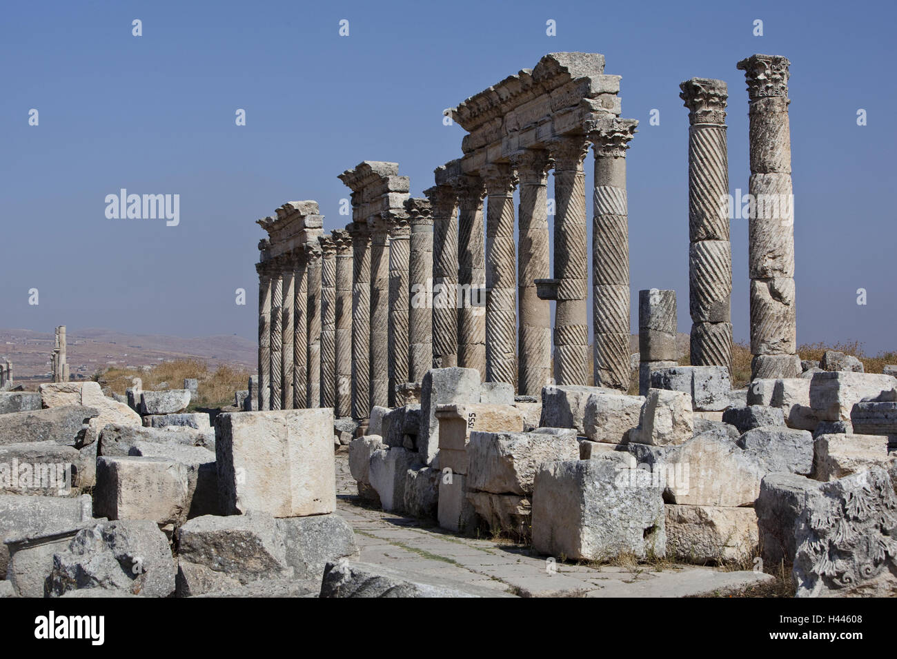 Apameia hi-res stock photography and images - Alamy