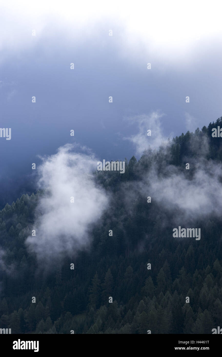 Fog patches hi-res stock photography and images - Alamy