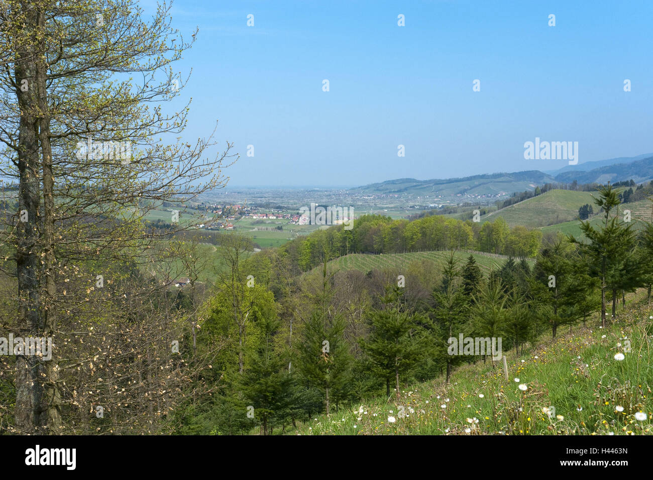 Oberkirch hi-res stock photography and images - Alamy