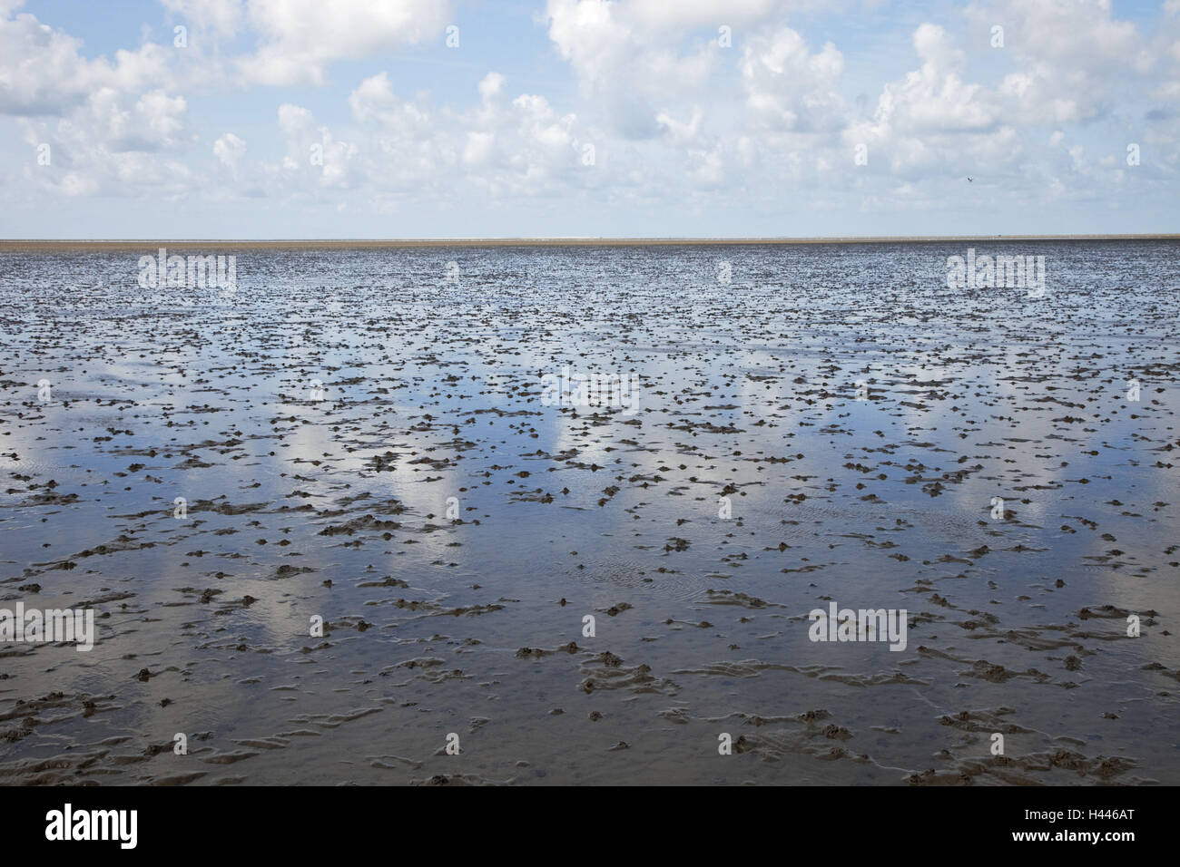 The North Sea, watt Stock Photo - Alamy