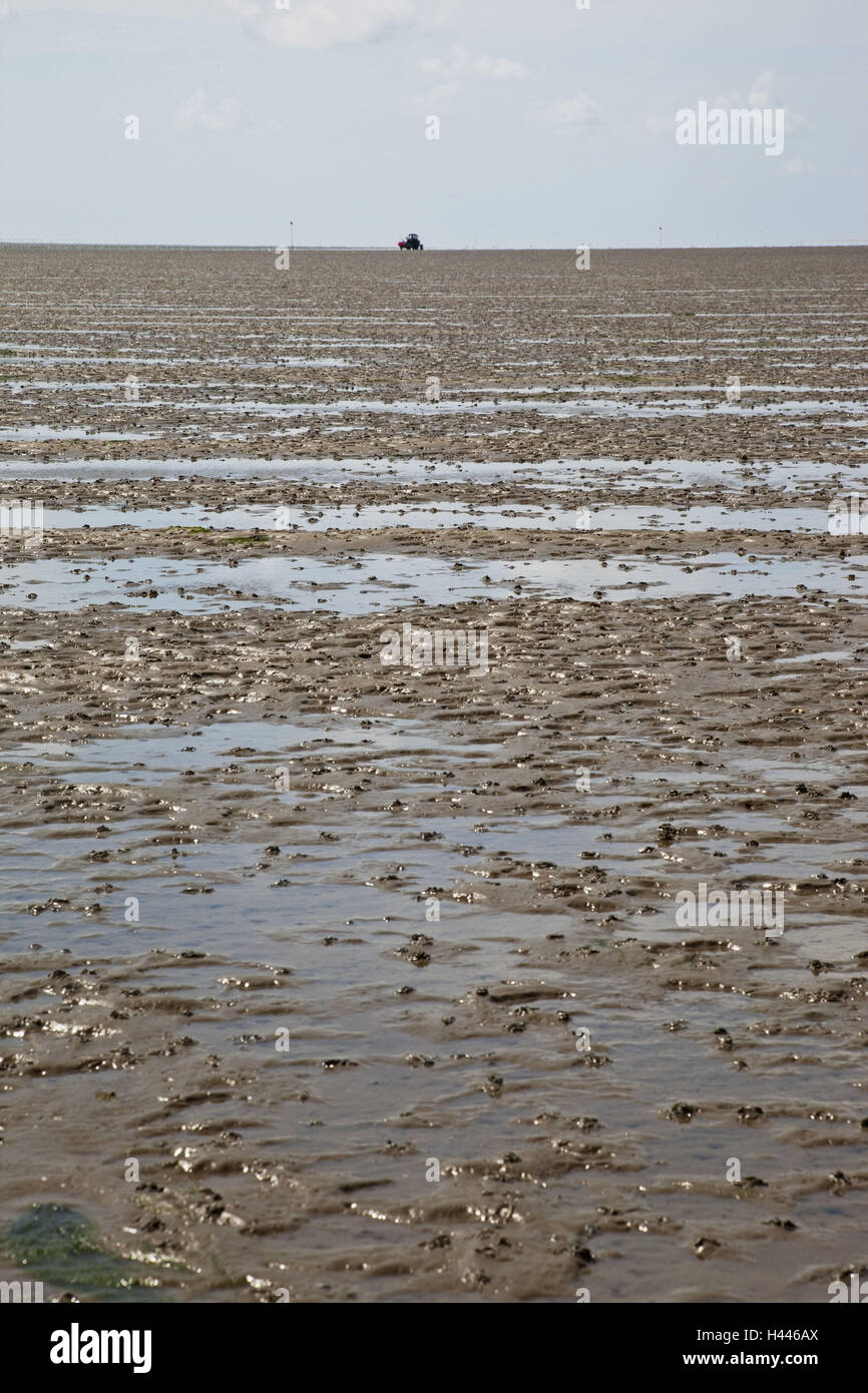 The North Sea, watt Stock Photo - Alamy