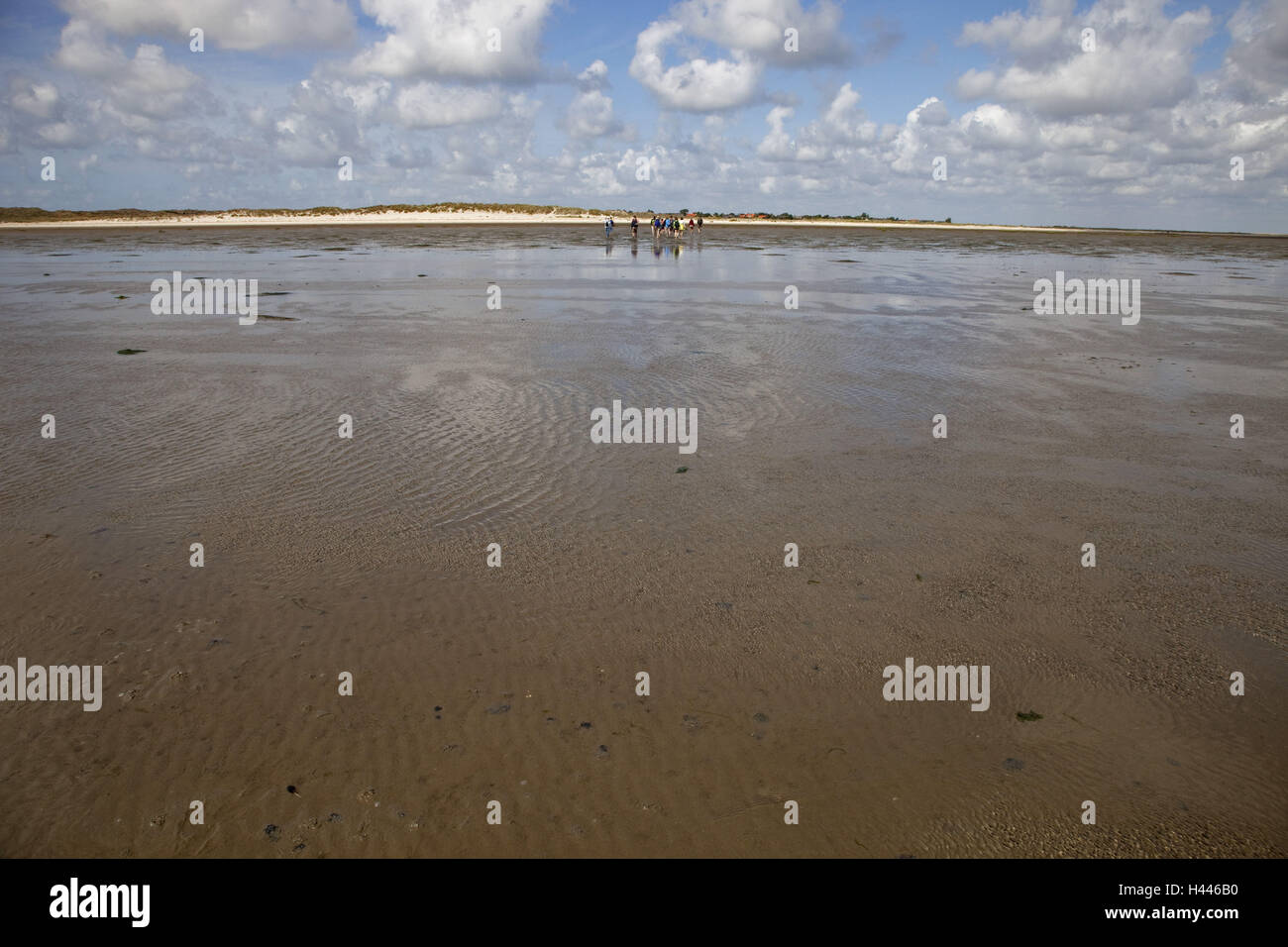 The North Sea, watt, tourist Stock Photo - Alamy