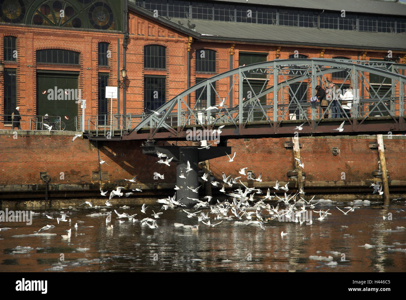 Hamburg fish market Stock Photo - Alamy