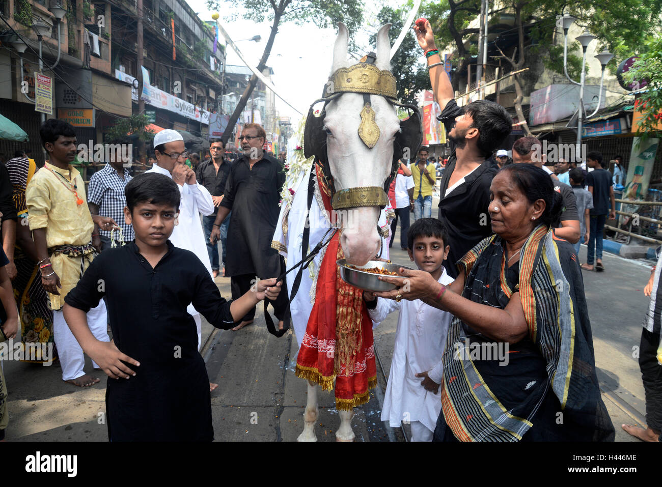 Kolkata, India. 12th Oct, 2016. Women feeding the holy horse during the ...