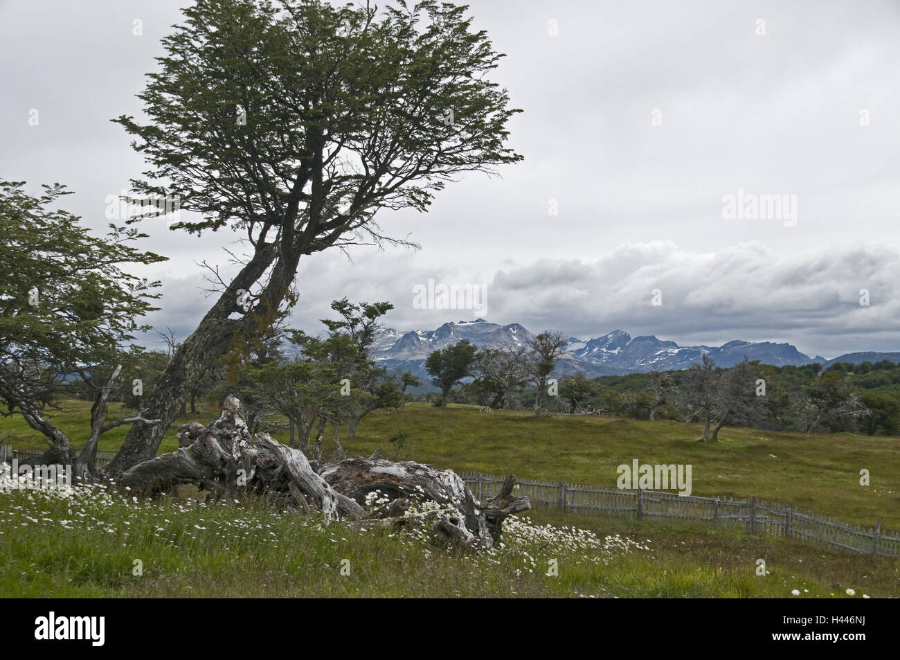 Beagle canal hi-res stock photography and images - Alamy