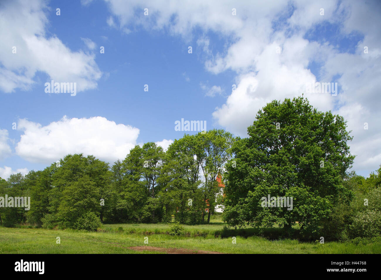 Saint Jürgen's country, pawn church, trees Stock Photo - Alamy